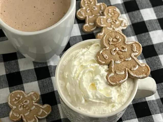 Gingerbread Hot Cocoa