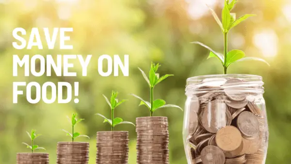 Cajun Barbecue Pulled Pork