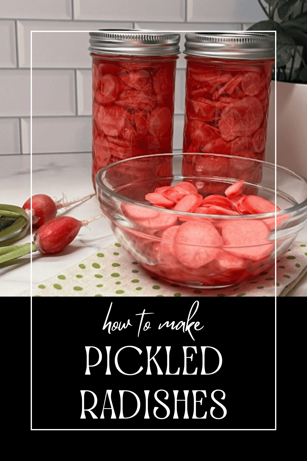 Pickled Radishes